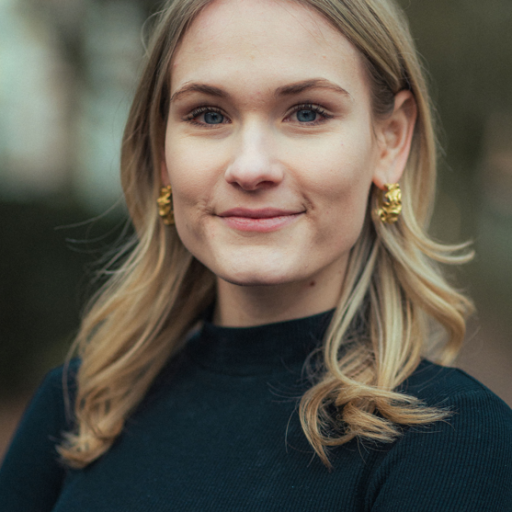 Bundestagswahl 2025 | FDP Hessen